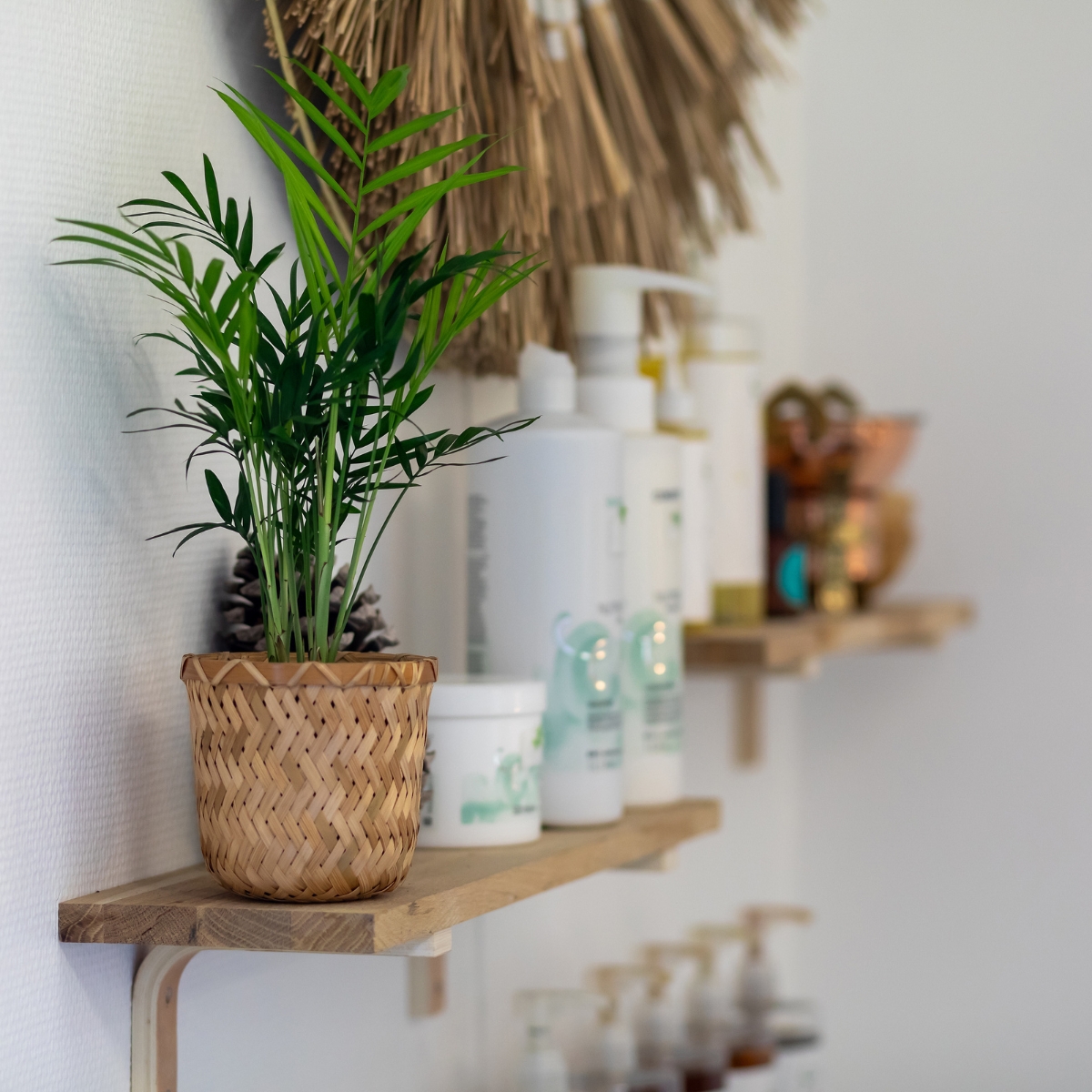 Isalys | Spa des cheveux